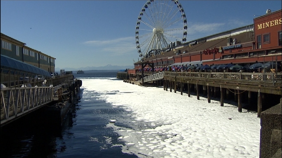 2 piers evacuated as fire breaks out on Seattle waterfront | KOMO