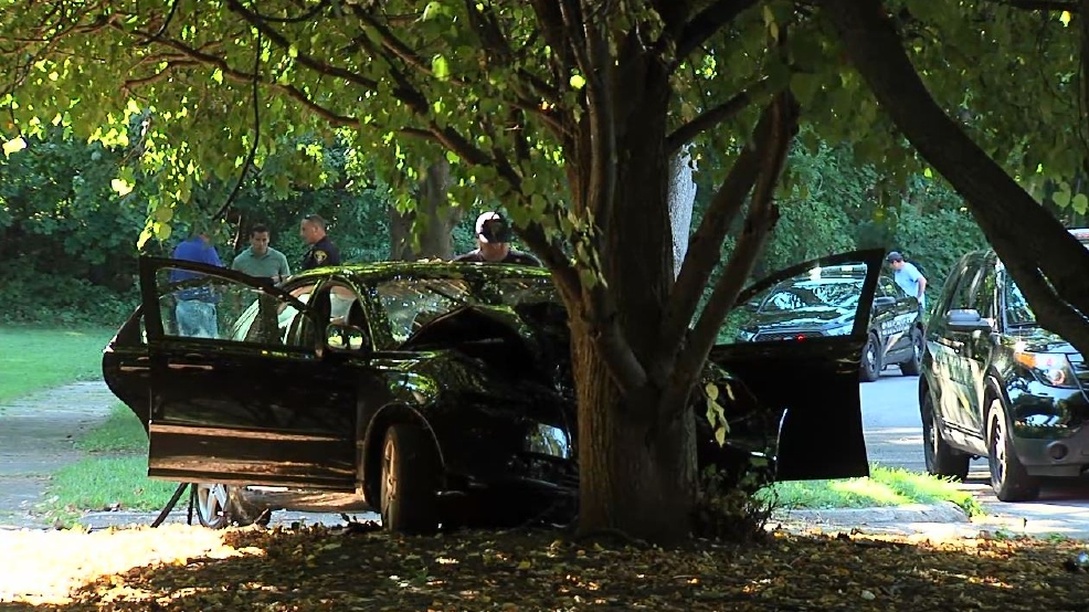 Vehicle crashes into tree, one hurt | WHAM