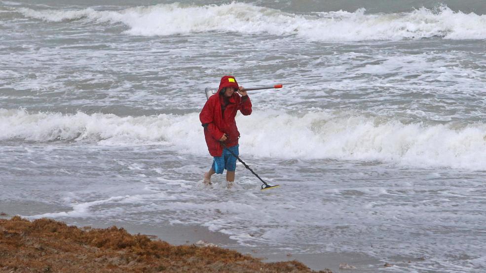 Biologist: Drowned moose likely had brain worm | WHP