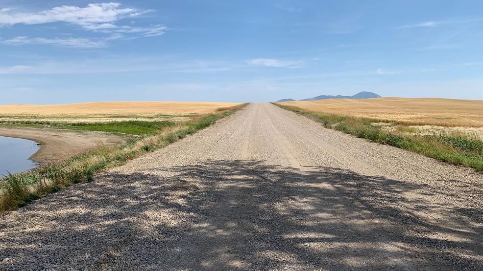 Officials: Feral Canadian hogs encroaching on Montana border | KECI