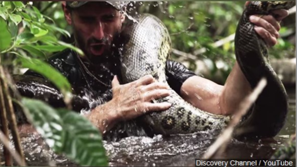 Crackdown on anacondas spurs legal fight | WPEC